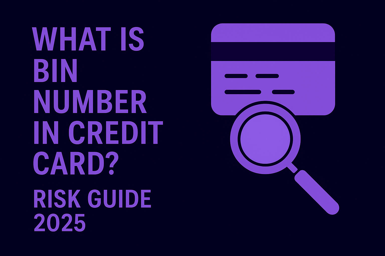 What Is BIN Number in a Credit Card? Risk Guide 2025