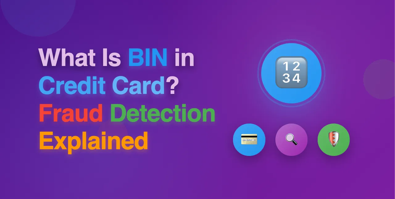 What Is BIN in Credit Card? Fraud Detection Explained